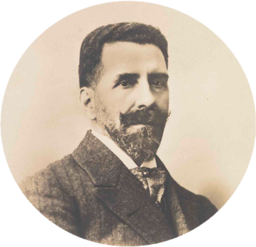 A República que o povo tomou nas ruas - que bicho te mordeu